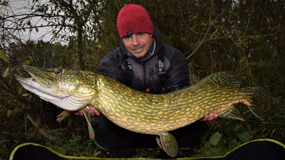 Pike Fishing Guide: UK Edition — CPS Tackle